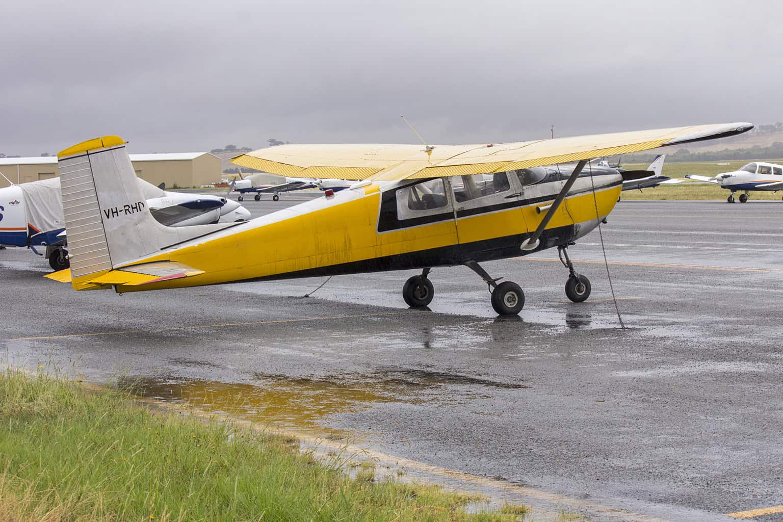 Cessna 175 Skylark · History Technical Data And Photos · Aerocorner