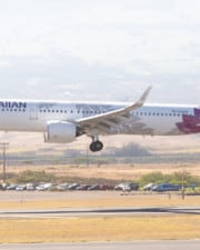 Airbus A321neo Sharklet · History, Technical Data & Photos · AeroCorner