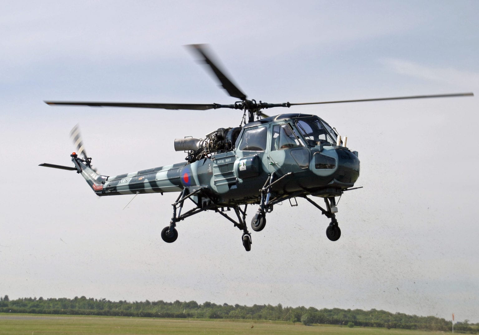 Westland Wasp · History, Technical Data & Photos · AeroCorner