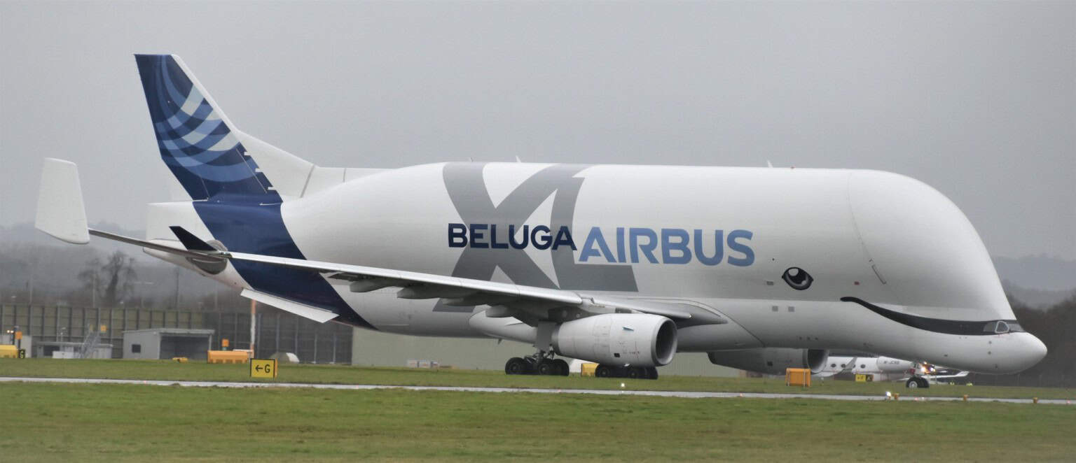 Airbus Beluga XL · History, Technical Data & Photos · AeroCorner