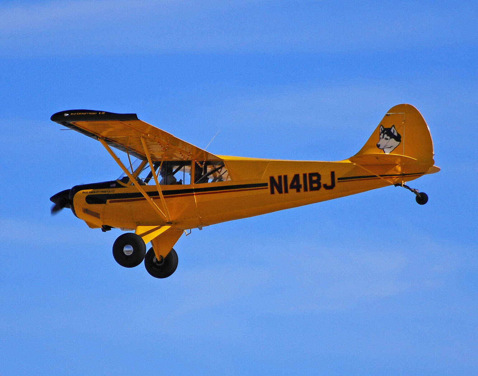 Aviat Husky · History, Technical Data & Photos · AeroCorner